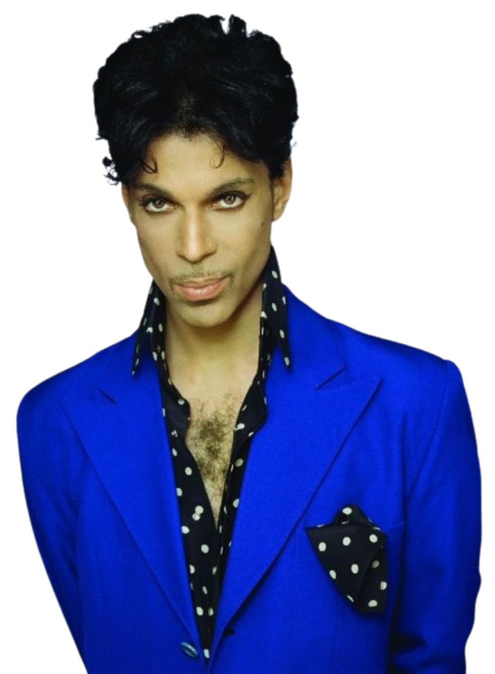Prince Rogers Nelson p/k/a Prince* | Songwriters Hall of Fame
